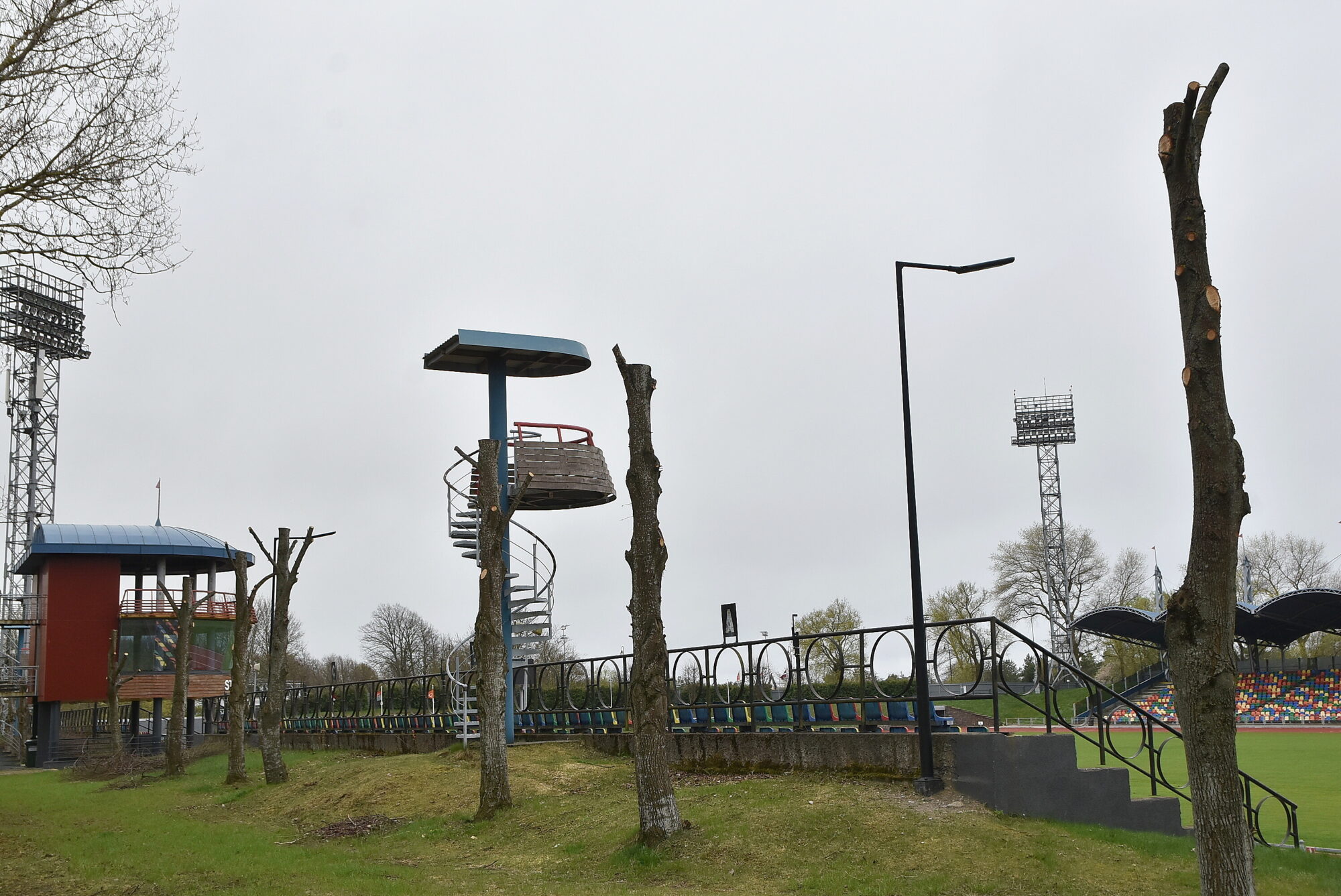 Skaistuma vārdā sakropļo kokus stadionā. “OC Liepāju” sodīs par ...