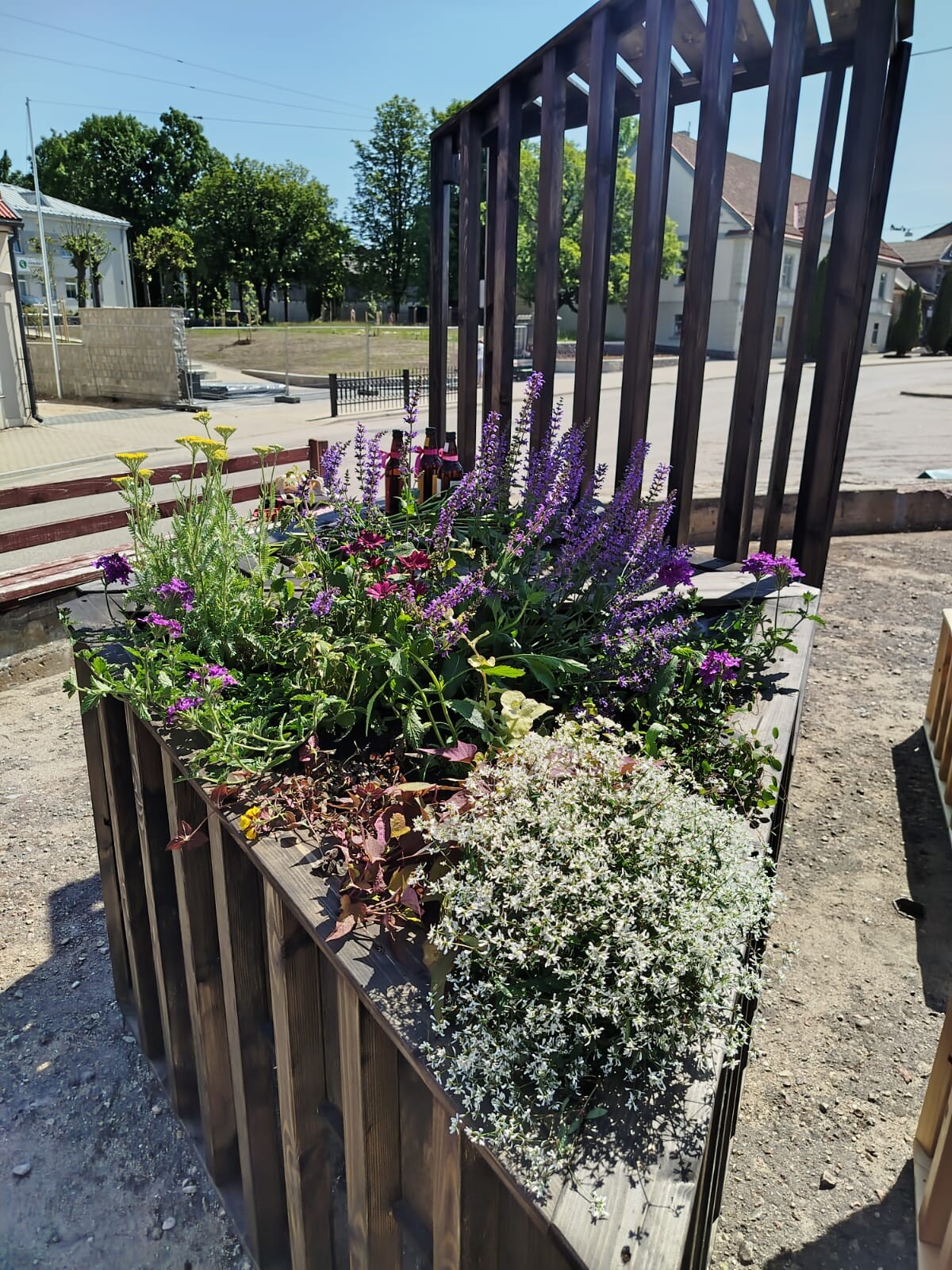Foto: Aizputē atdzimst vecais tirgus laukums – atklāta pagaidu pilsētas ...