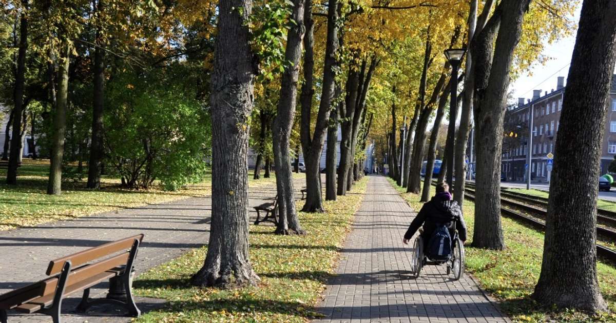 NVA darba vietu pielāgošanas atbalstu turpmāk varēs saņemt arī valsts ...